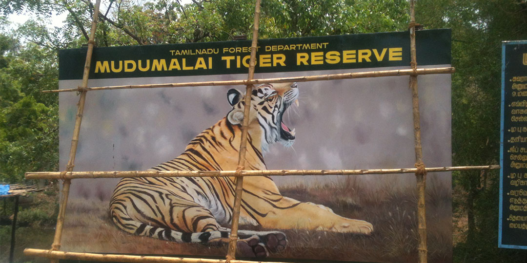 Mysore To Wayanad One Day Tour Packages Itenary By Car Mysore To Wayanad One Day Tour Packages Itenary By Car